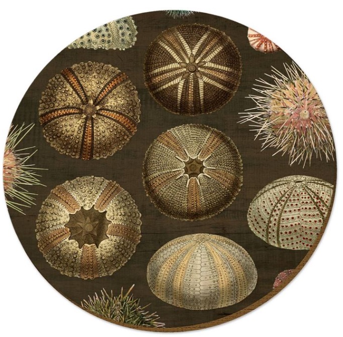 Wolfkamp & Stone - Taratara - Placemat.jpg